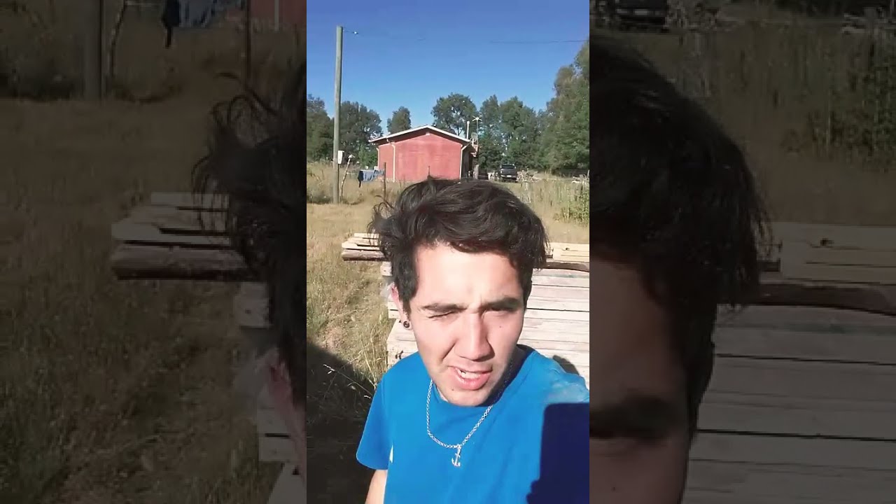 la rata peluca - YouTube