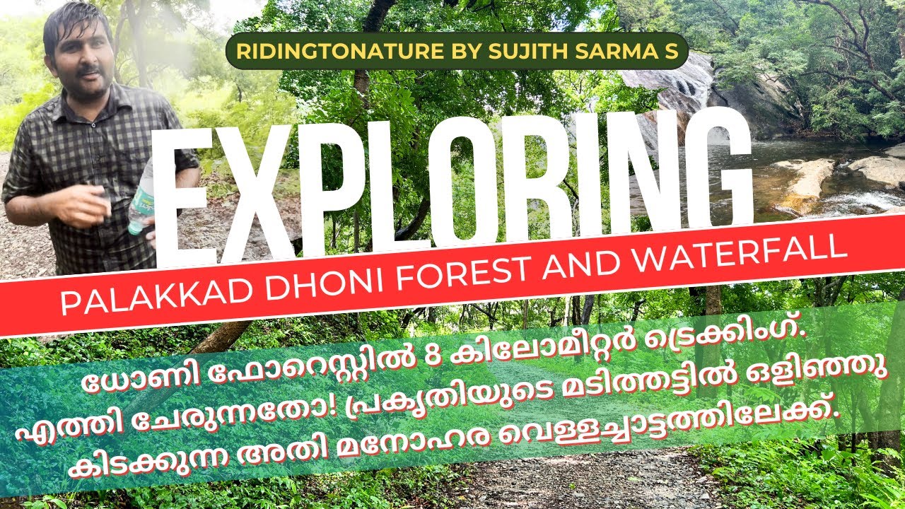 Dhoni Waterfalls | Palakkad Forest Trekking | Eco Tourism | PT7 ...