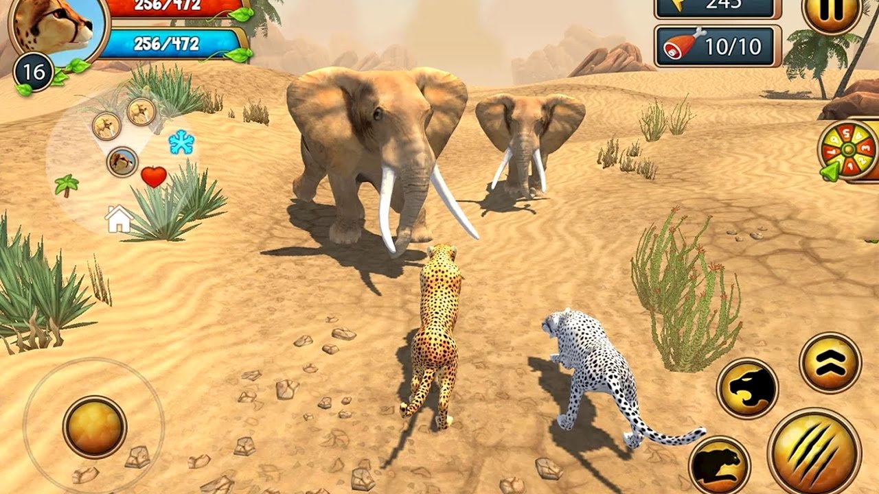 Cheetah Family Sim (by Area730) Android Gameplay [HD] - YouTube