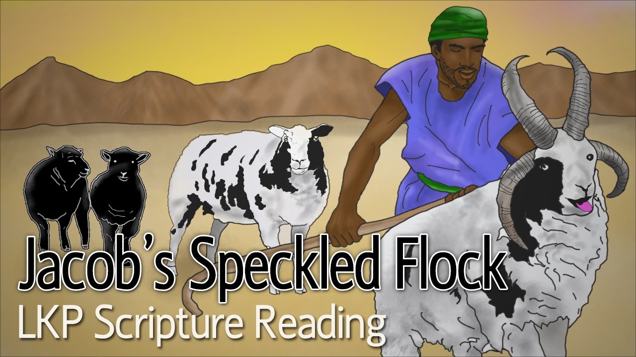 LKP Scripture Reading: Jacob's Speckled Flock - YouTube