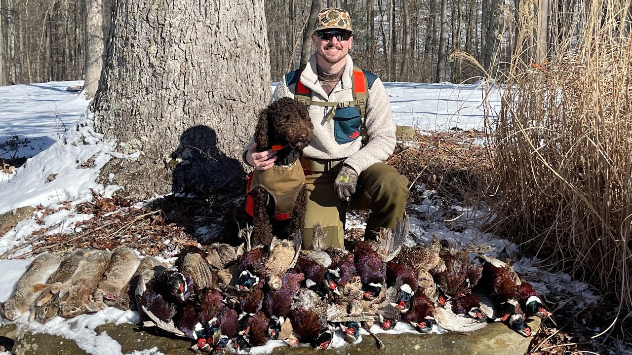 Rabbit Clean & Cook - YouTube