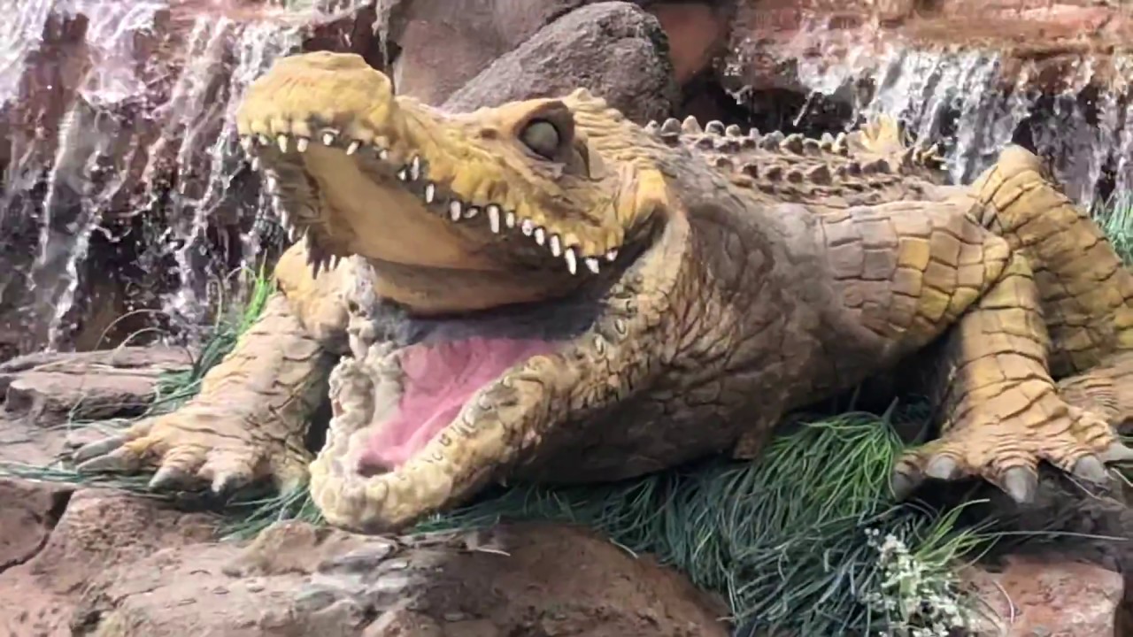 Animatronic alligator at Disney Springs - YouTube