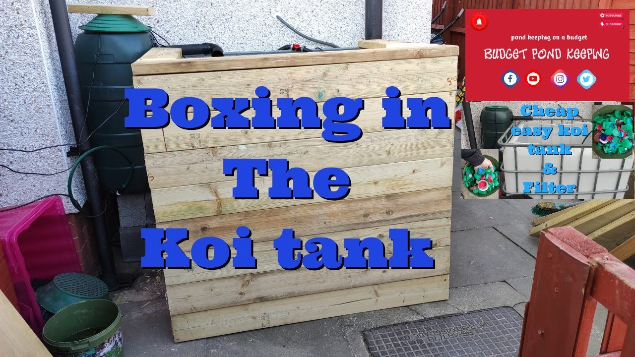 **WOODEN CLADDING A KOI FRY TANK** - YouTube