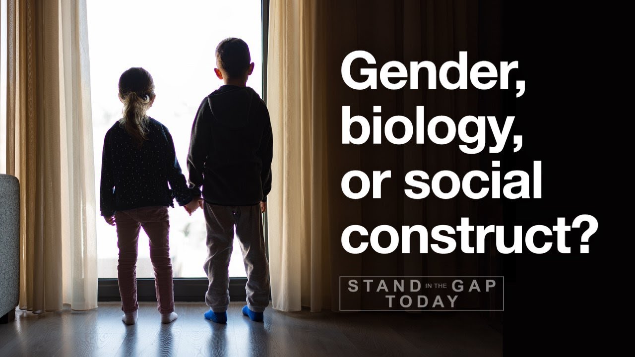 Gender Roles What Is Gender Biology Social Construct Youtube
