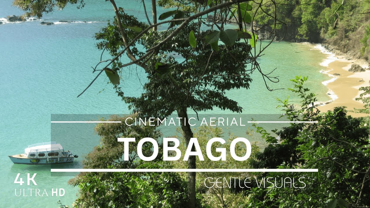 Tobago 4K UHD Drone Footage | Stunning Nature and Tranquil Aerial Views ...