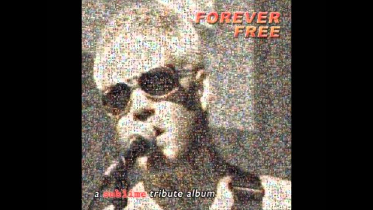 No Use For a Name - Badfish (Sublime Cover) - YouTube