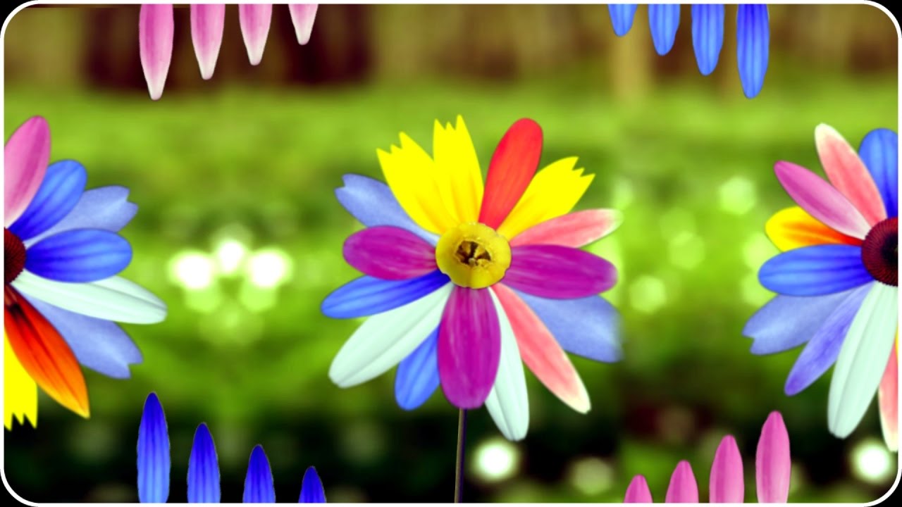 Learn Colors with Colorful Flowers for Children, Toddlers and Babies ...