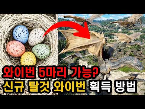 Crimson Desert 1.10 Patch, Perfect Guide to Obtaining Adult Wyvern: All ...