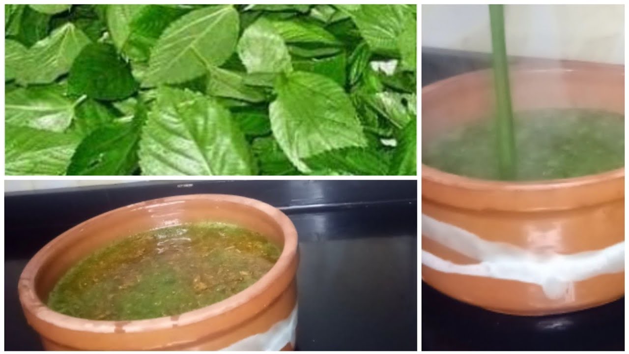 طريقه عمل الملوخيه الخضراء وسر لونها الاخضر وسر الطشه الخطيره😋 Youtube