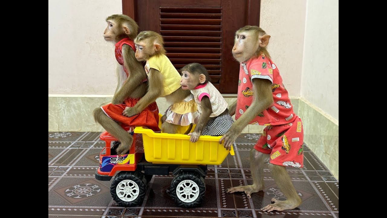 Unbelievable!! Brother Sovan Very Sweet Walk Pushing Car To Take 3 ...