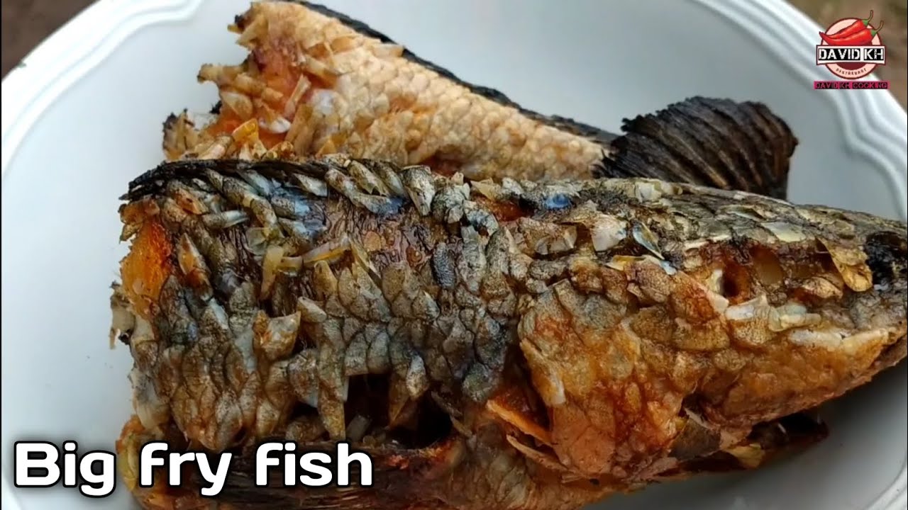 Big fry fish so delicious Cooking foods show when we leave from work in ...