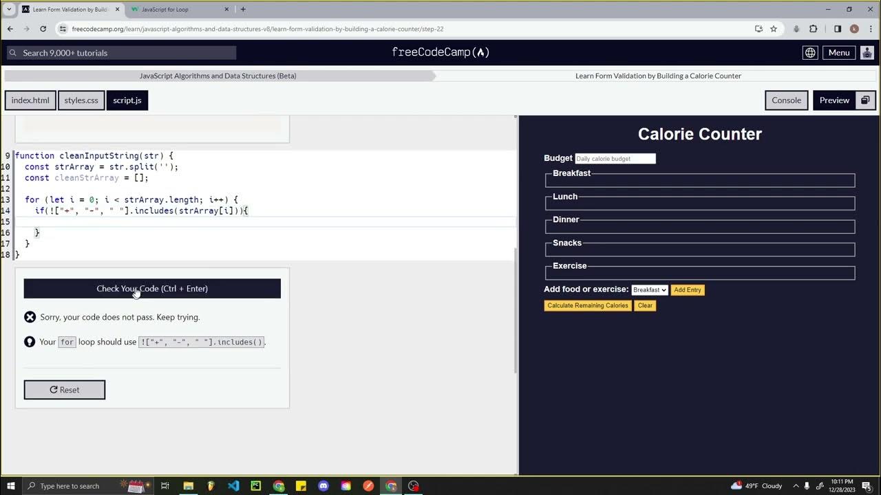 JavaScript Calorie Counter Project: Form Validation, Dynamic Updates ...