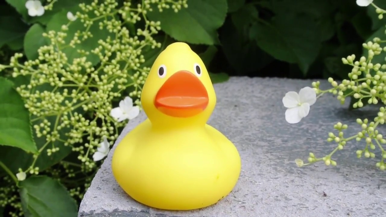 My little ducky_part 7 - YouTube