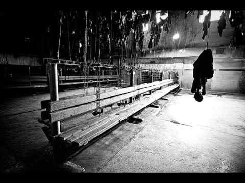 Damien Saez - L'envol