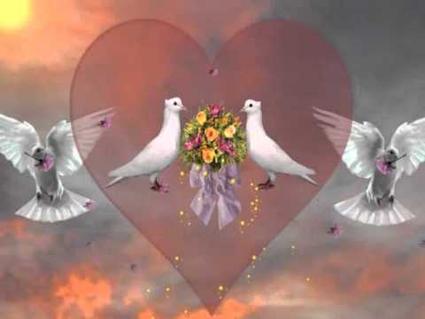 ALDATTIN BENİ SEVİYORUM DİYE