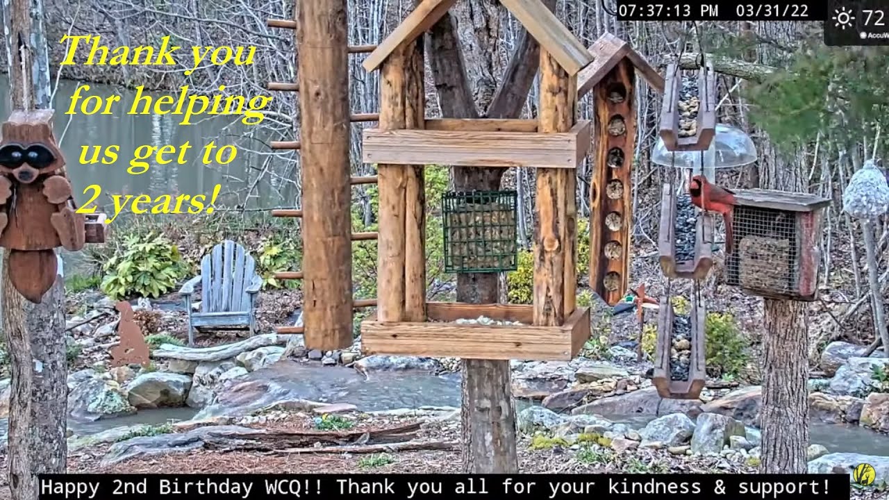 A special message from Woodlands Critter Quest - YouTube