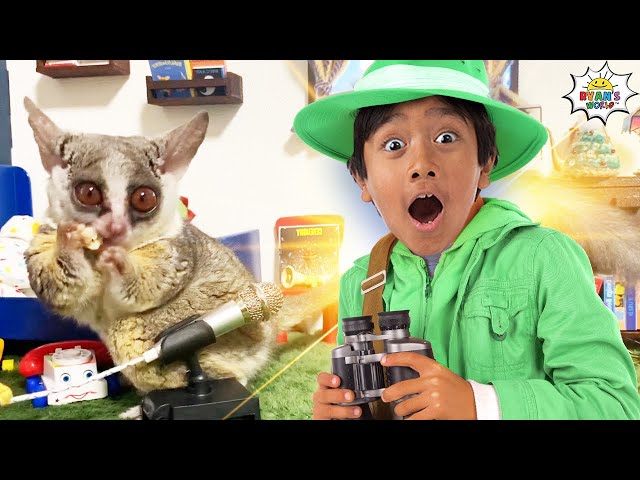 Ryan reacts to Cute Babies animals Trying Different Food! - Videos For Kids
