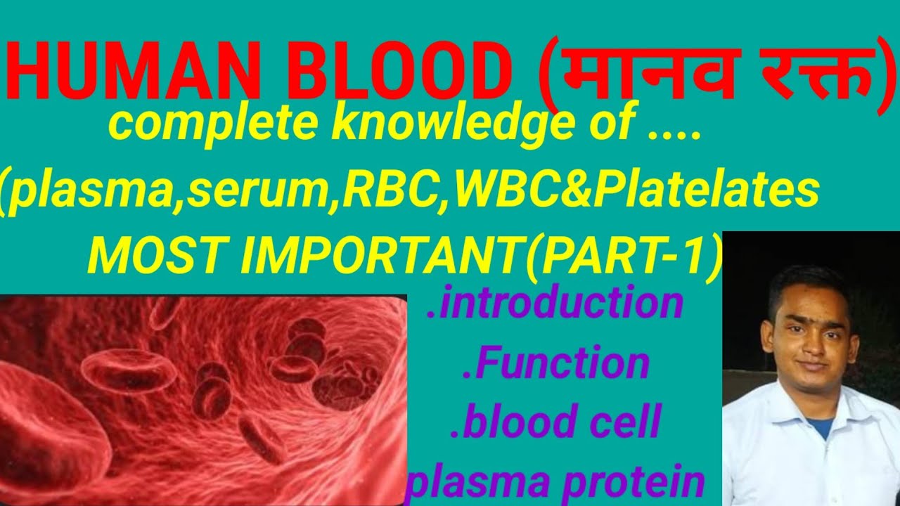 human blood|WBC|RBC|PLATELATES|Plasma|cell|Function ofBlood - YouTube