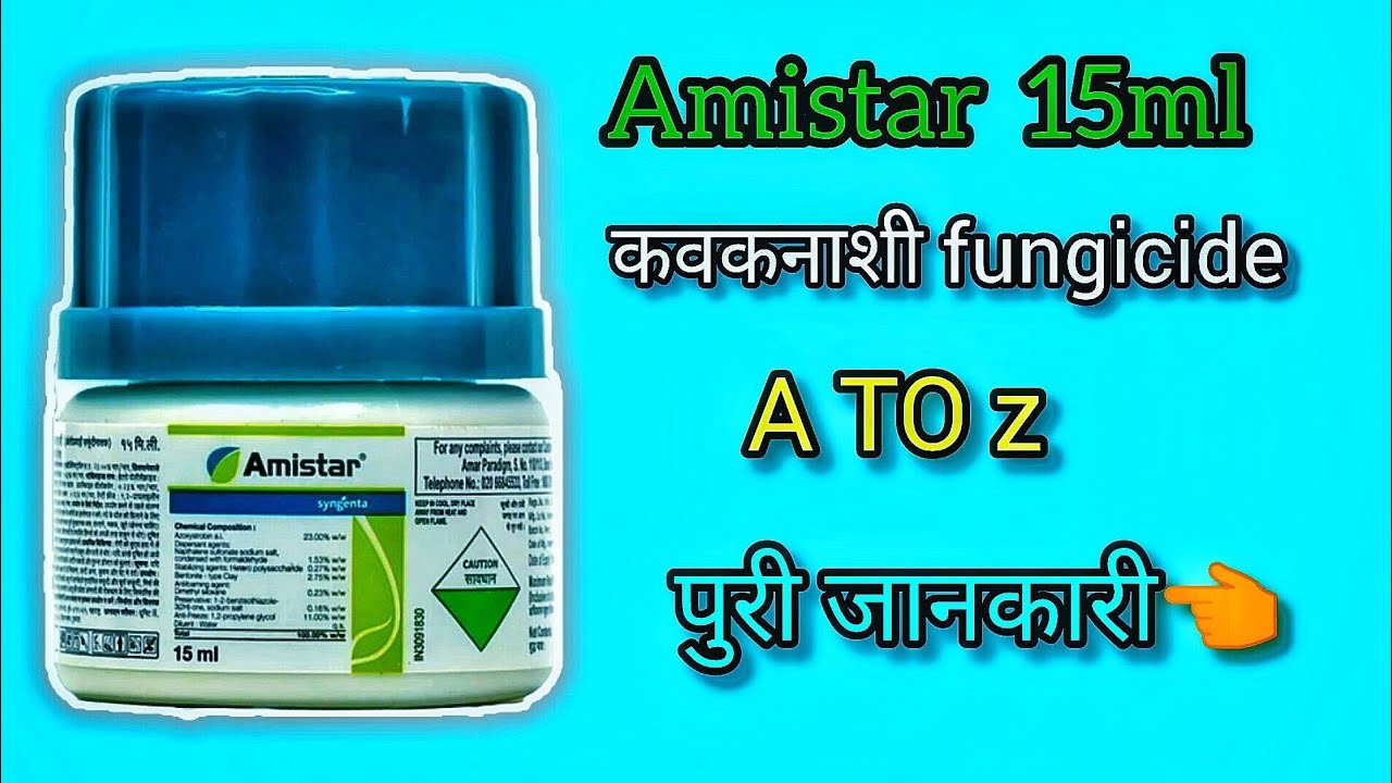Amistar sygenta in uses hindi | dosge | price |amistar fungicide A to z ...