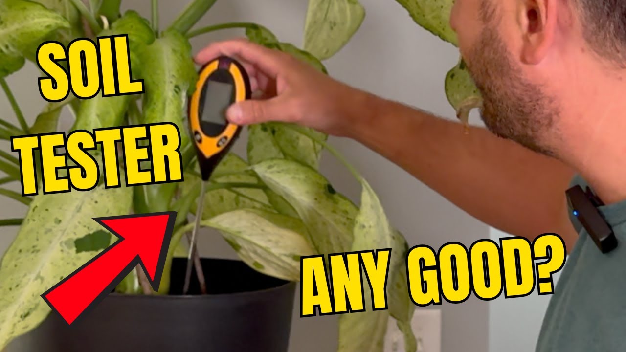 Check the pH Levels in Your Soil! 4 in 1 Soil Tester Review - YouTube