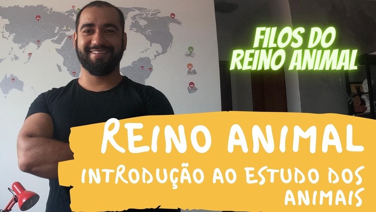 Reino Animal | Zoologia | Principais Filos dos Animais| #Animais #enem ...