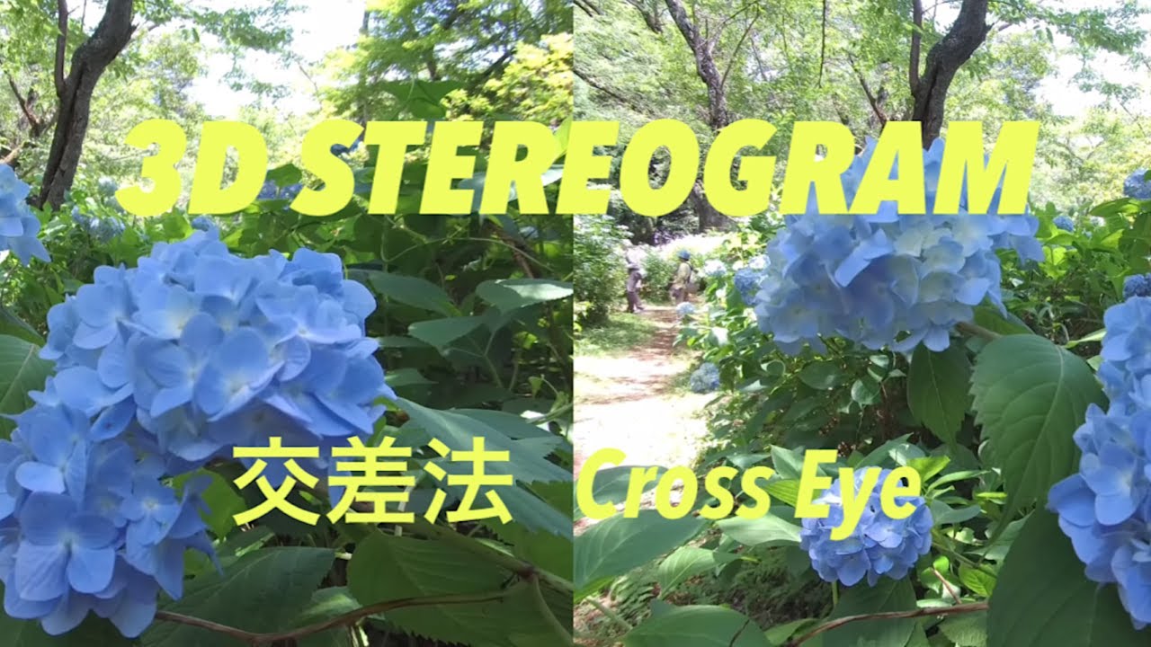 STEREOGRAM (Cross Eye 3D) | 交差法☆ステレオグラム | C14 STEREOSCOPIC - YouTube