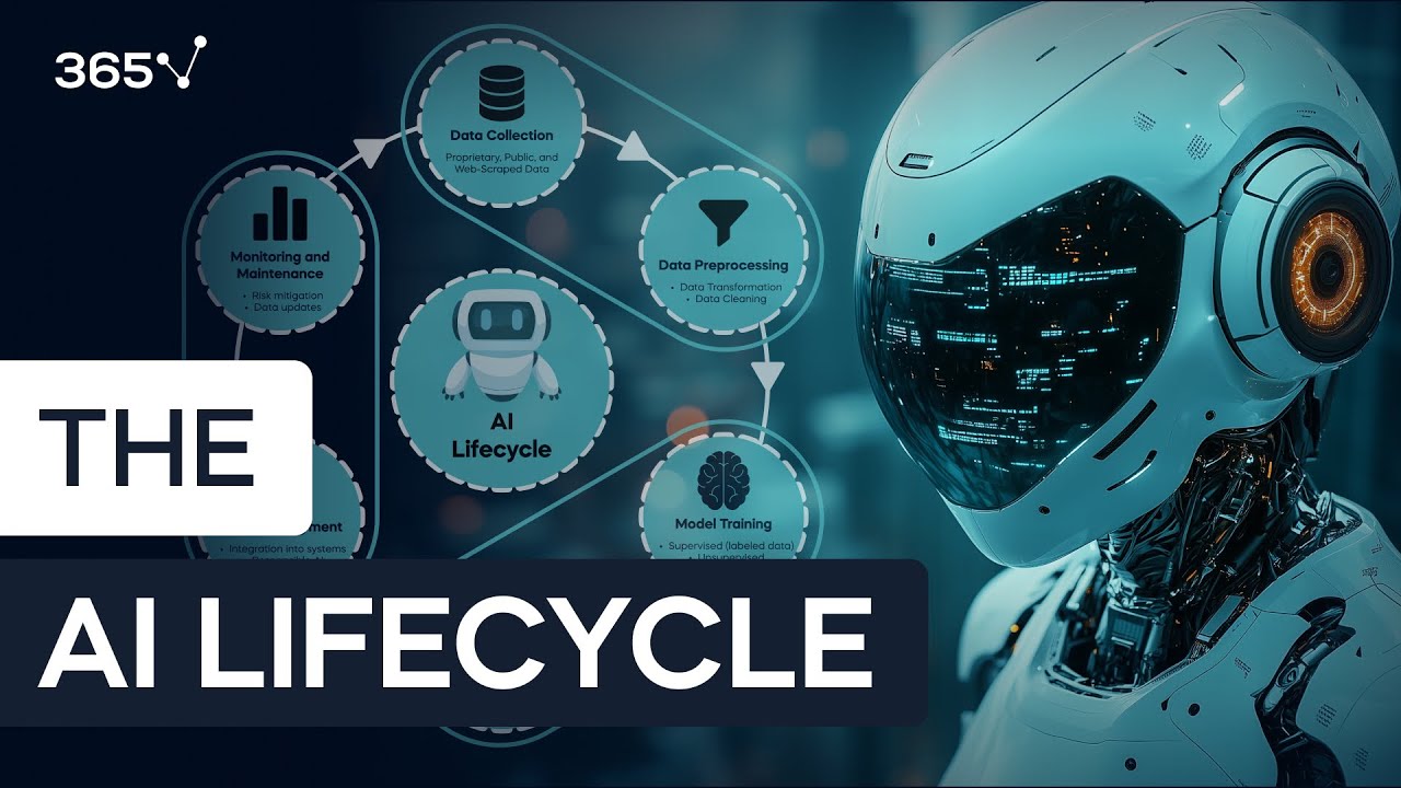 The AI Lifecycle: From Data Collection to Model Application - YouTube