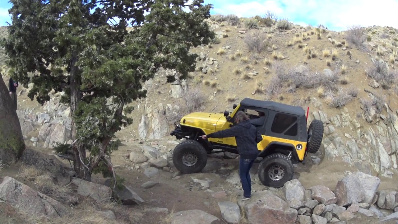 Billy Bob & Twister - YouTube