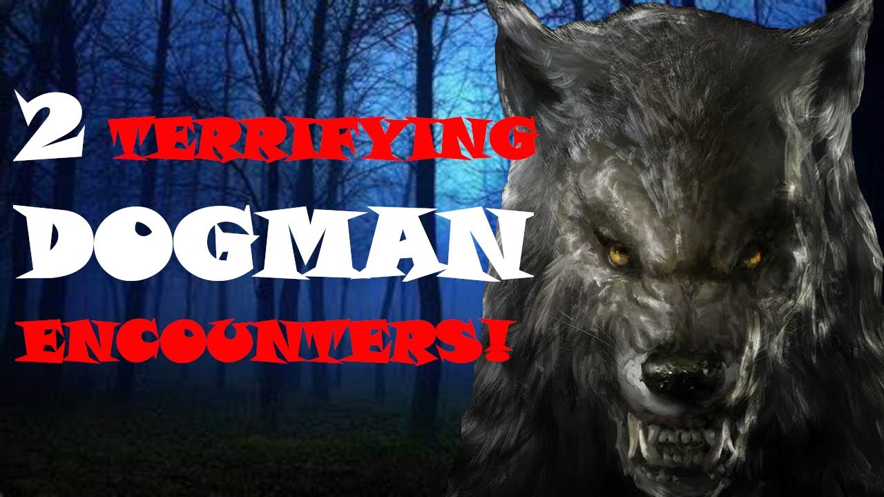 2 NEW! Terrifying DOGMAN Encounters! - YouTube