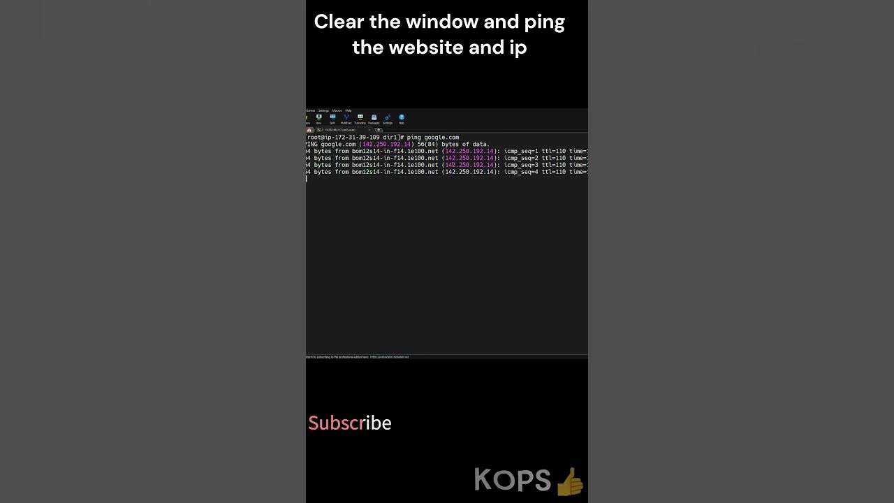Linux Command Bing And Clear Windows Ctl L Linuxcommands Linuxcommand Youtube