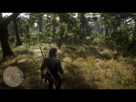 Red Dead Redemption 2 - Creep in Swamp Shack - YouTube
