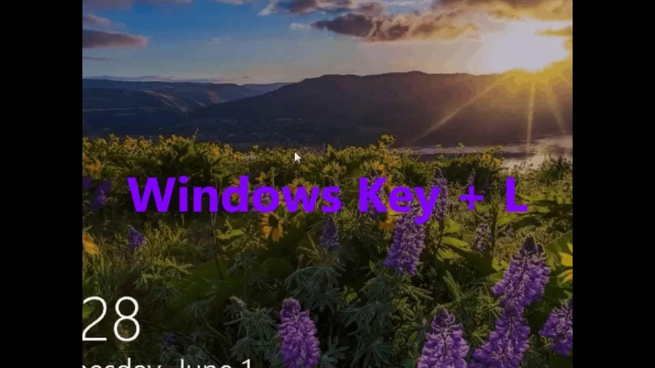 Shortcuts use of Windows key or Start logo key - Keyboard shortcuts ...