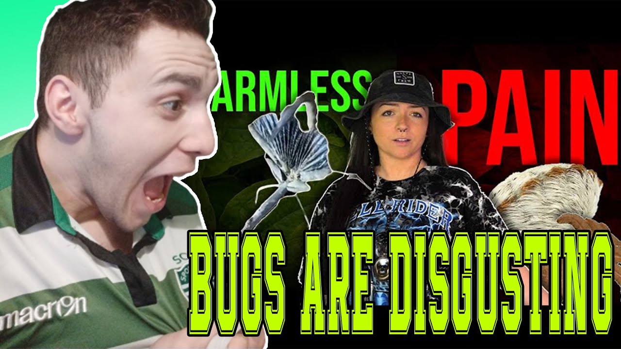 ZOOLOGIST ANSWERS: WTF IS THAT- INSECT EDITION | LINDSAY NIKOLE | BUGS ARE WEIRD!! | **REACTION ...