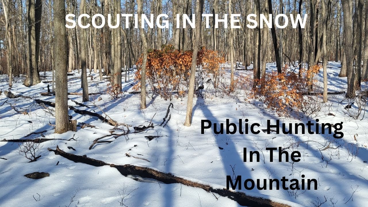 Scouting in the SNOW - YouTube