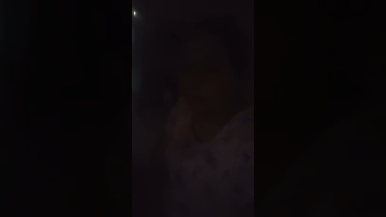 ertyuiop🤧🤧🤧🤧🤧🤧 - YouTube