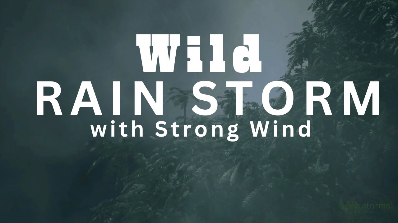 Relax Instantly with Heavy Rain, Strong Wind, Relaxing Sounds of a Wild ...