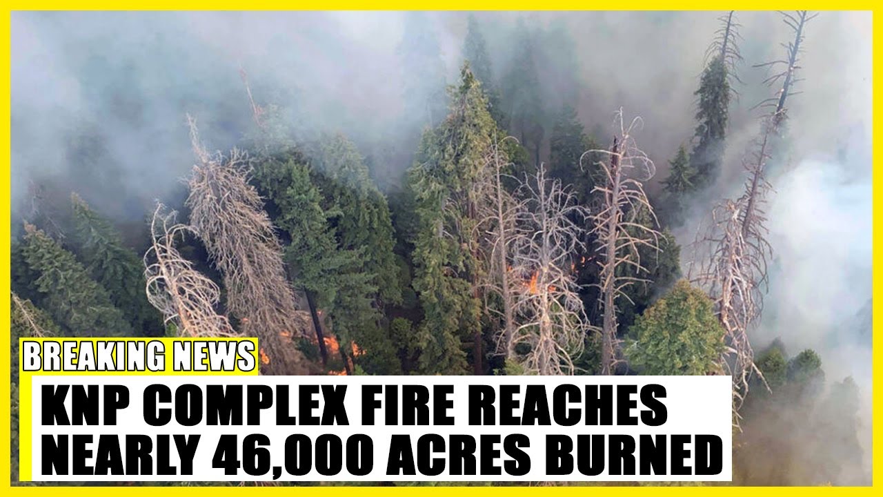 KNP Complex Fire reaches nearly 46,000 acres burned thus far with only ...