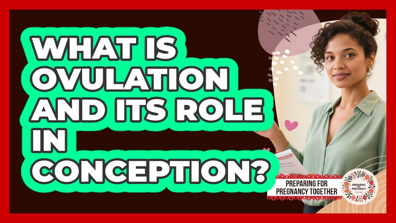 What Is Ovulation And Its Role In Conception? - YouTube