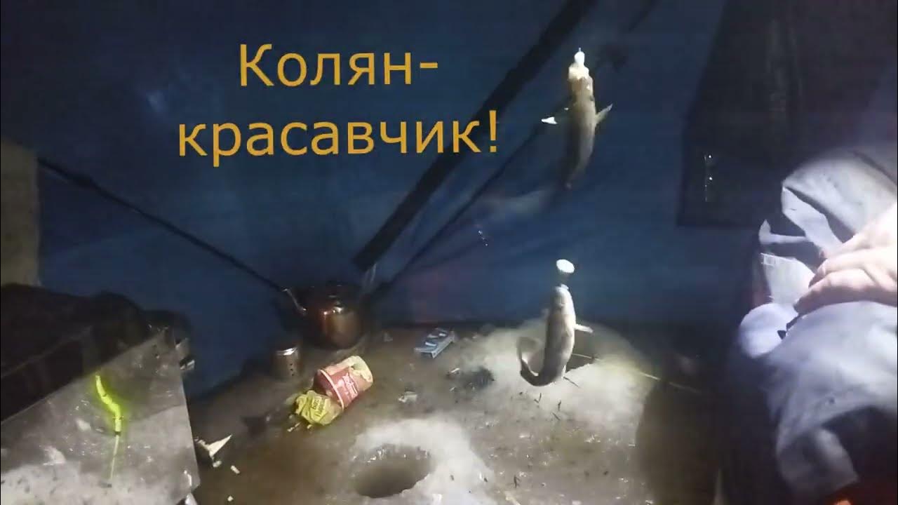 514 У НАВАГИ то губа не дура Ей криветки подавай 😜 Youtube