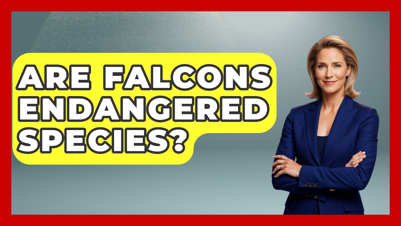 Are Falcons Endangered Species? - Ecosystem Essentials - YouTube