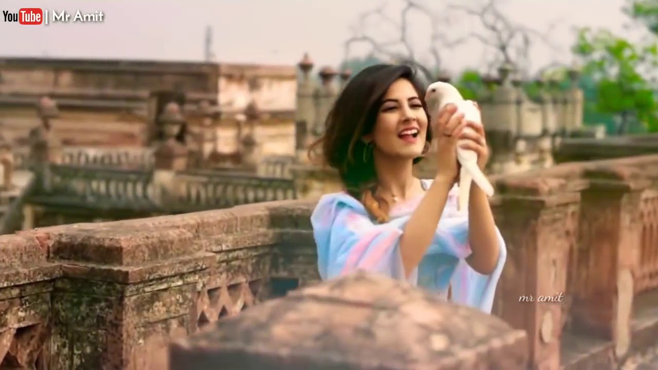 Latest# best status😎😎 - YouTube