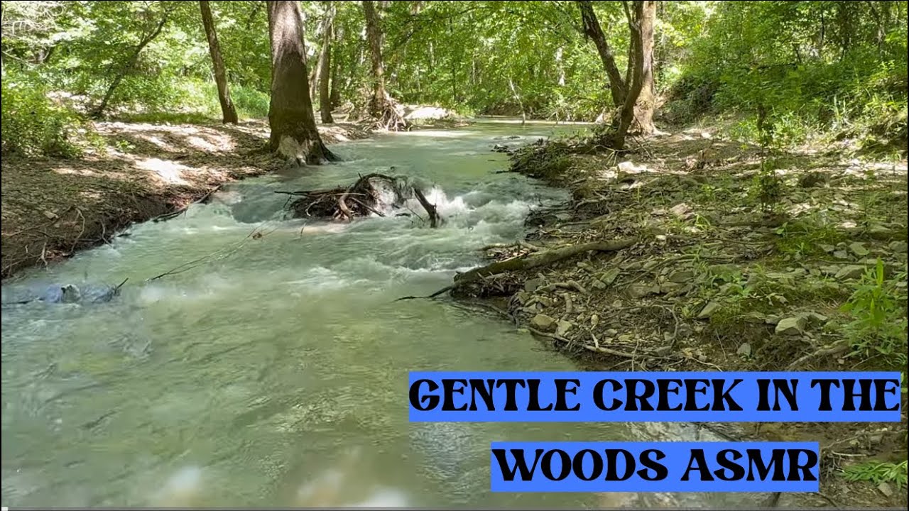 Relaxing Creek in the Forest/ASMR/4K/Real Sights and Sounds/Oklahoma ...