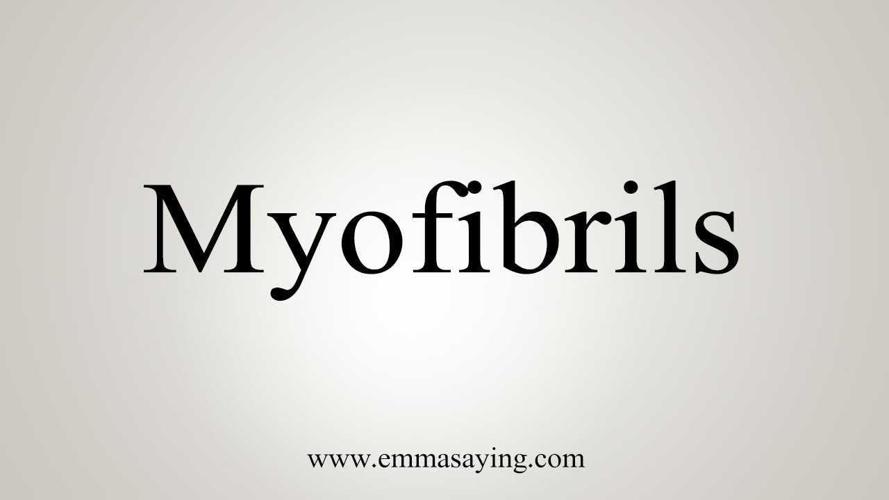 How To Say Myofibrils - YouTube