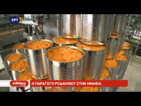 Η καλλιέργεια ροδάκινου στην Ημαθία - YouTube