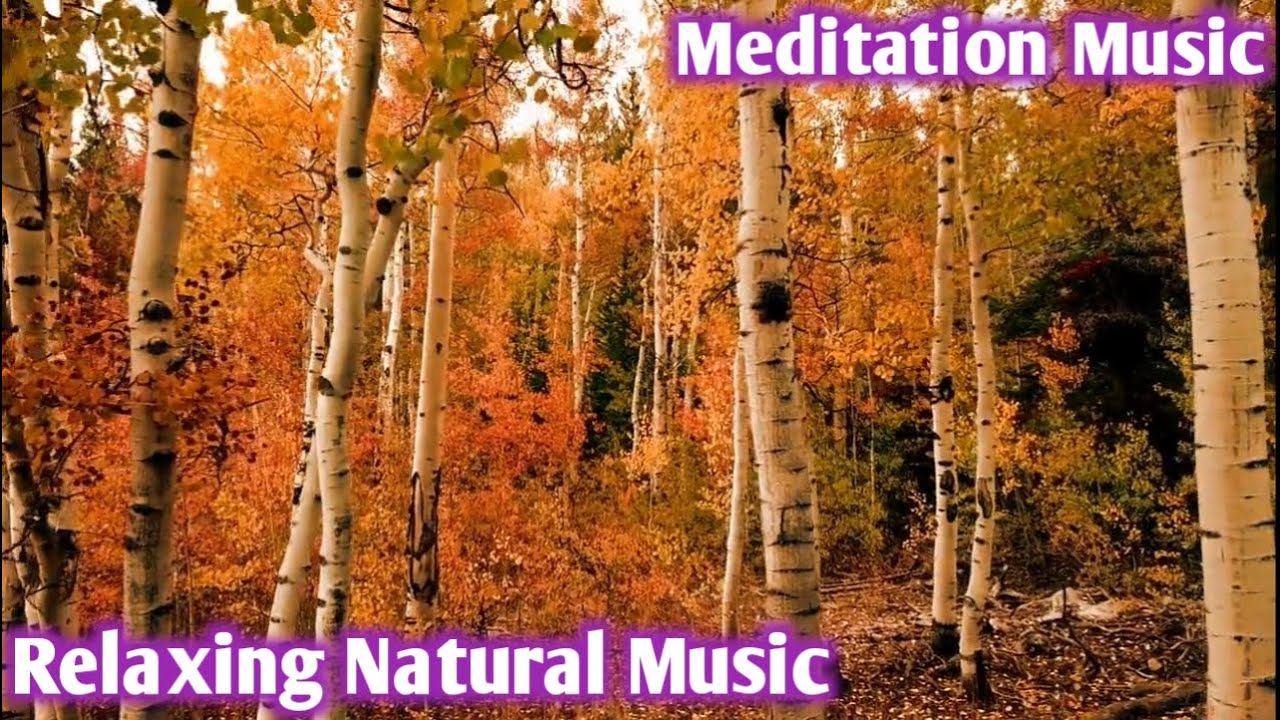 Relaxing Natural Music For Sleeping | Relaxing Music | Morning ...