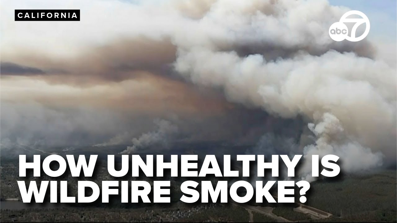 How wildfire smoke poses health risks to vulnerable groups - YouTube