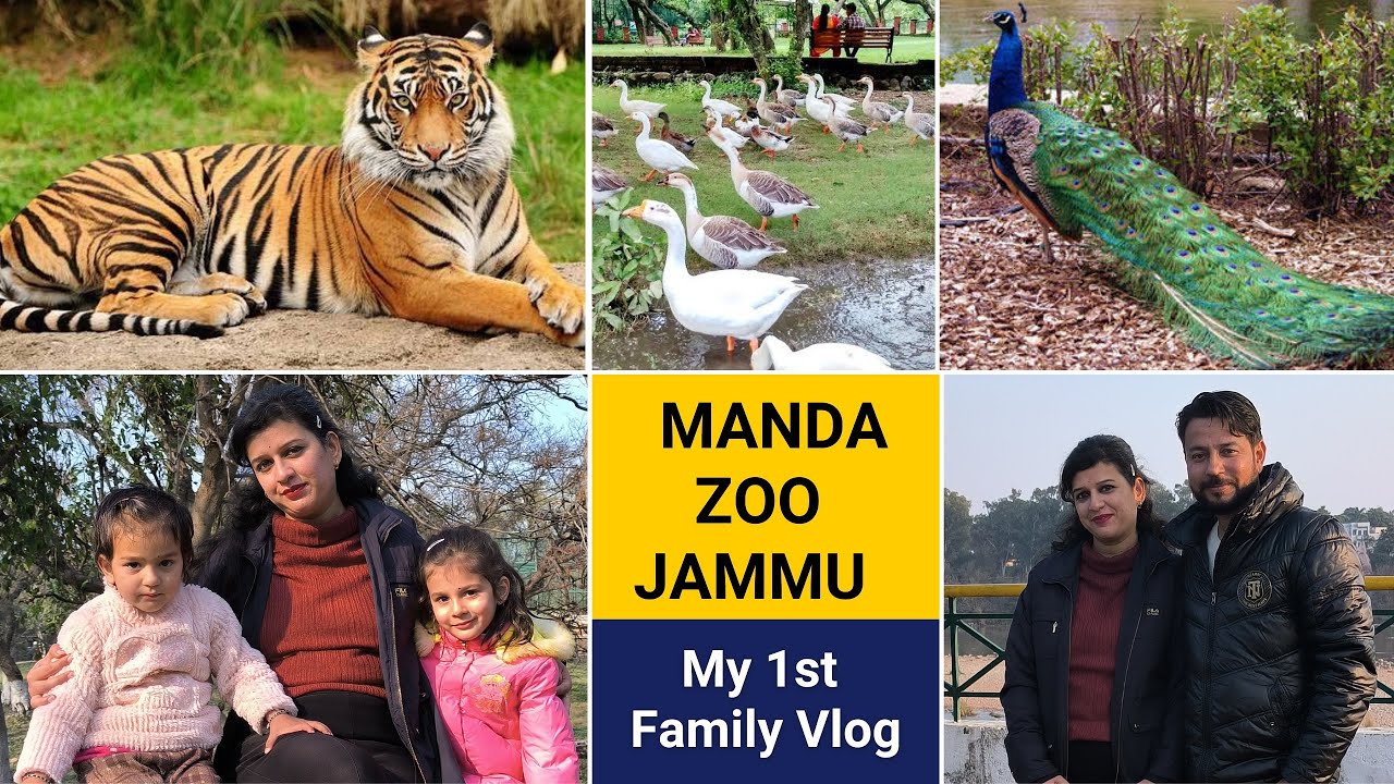 Manda zoo Jammu | My 1st Family Vlog - YouTube