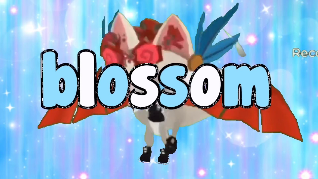 INTRO FOR BLOSSOM!! - YouTube