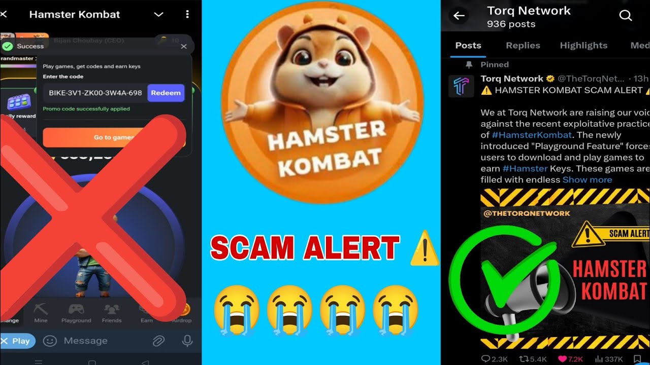 Hamster Kombat scam alert ⚠️|| Hamster Kombat scam || - YouTube