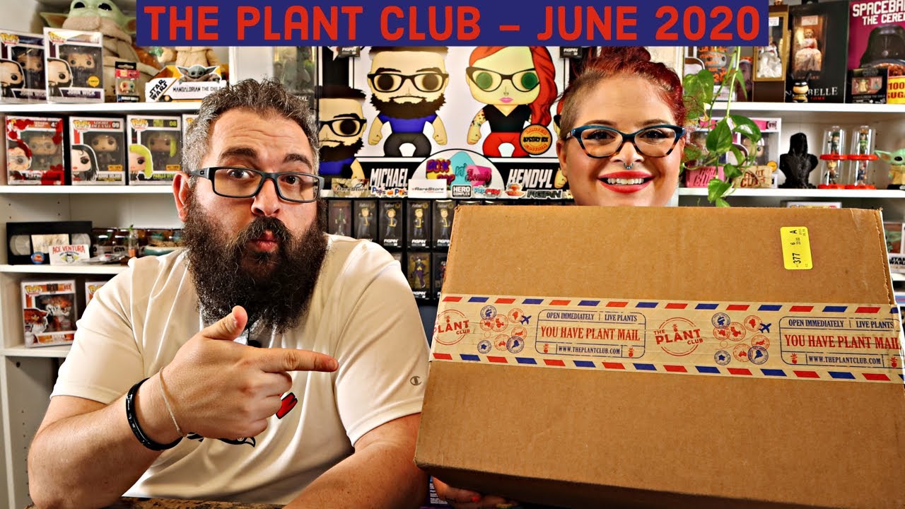 The Plant Club $25 Subscription Mystery Houseplant Box - June 2020 ...